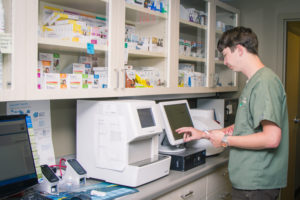 Diagnostics for Pets | Services | Riverview Animal Hospital